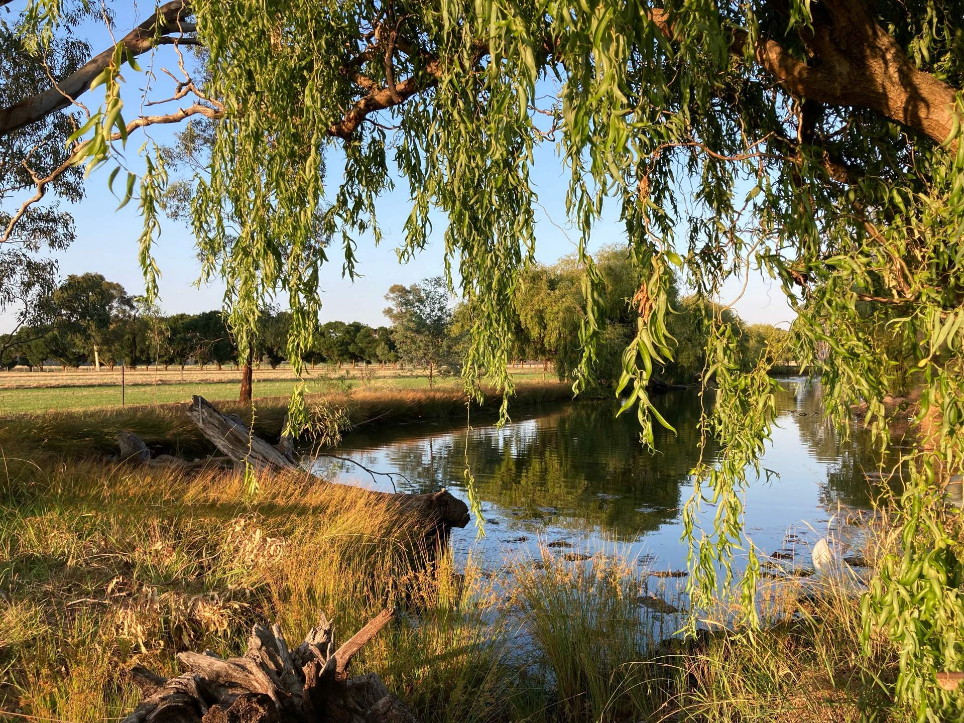 Goulburn Murray Water - Goulburn Murray Water