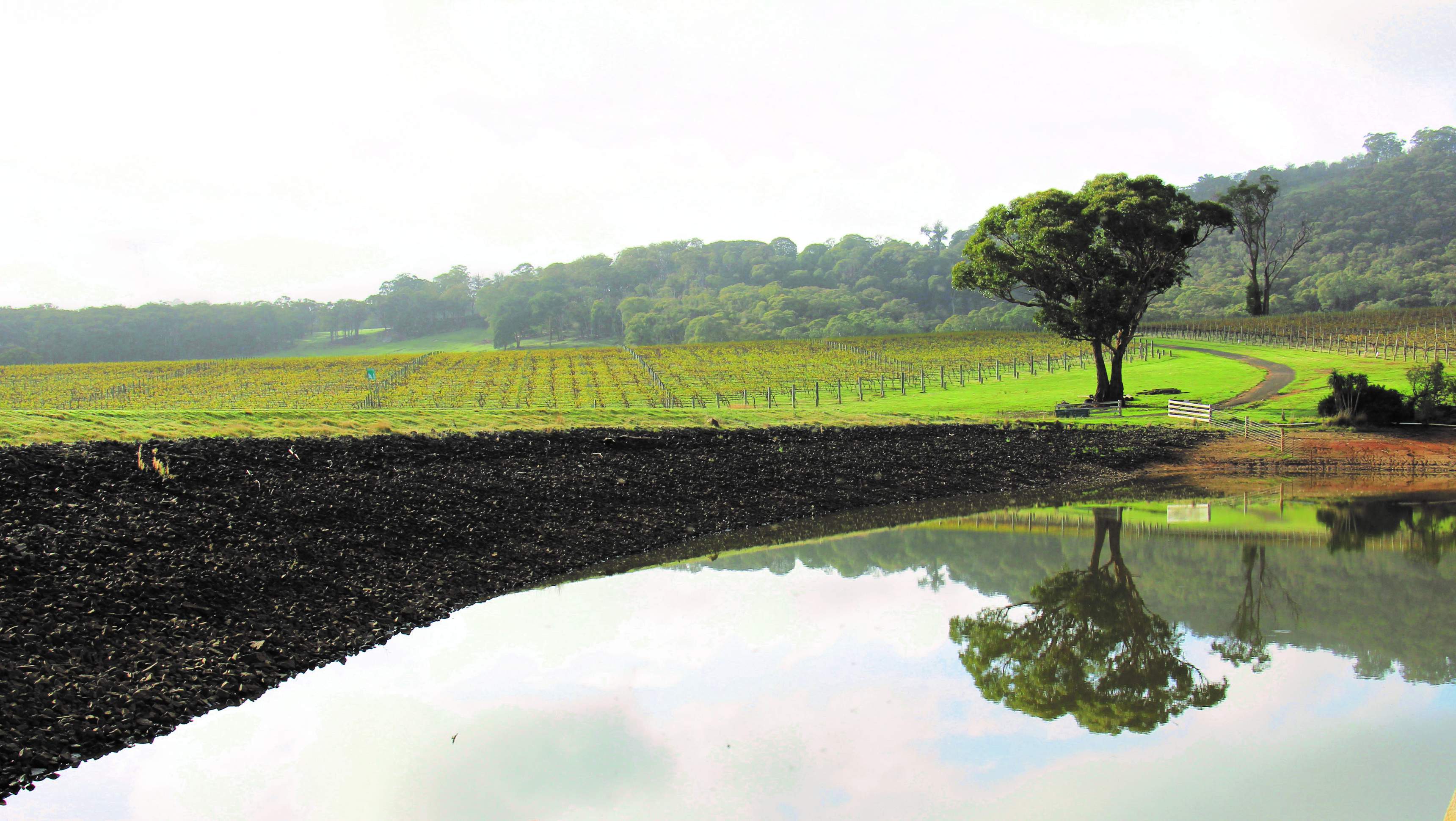 Goulburn Murray Water - Goulburn Murray Water