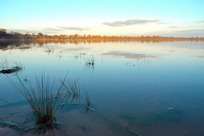 Lake Meran Local Management Plan endorsed - Goulburn Murray Water