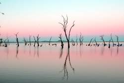 Ghow (Kow) Swamp - Goulburn Murray Water